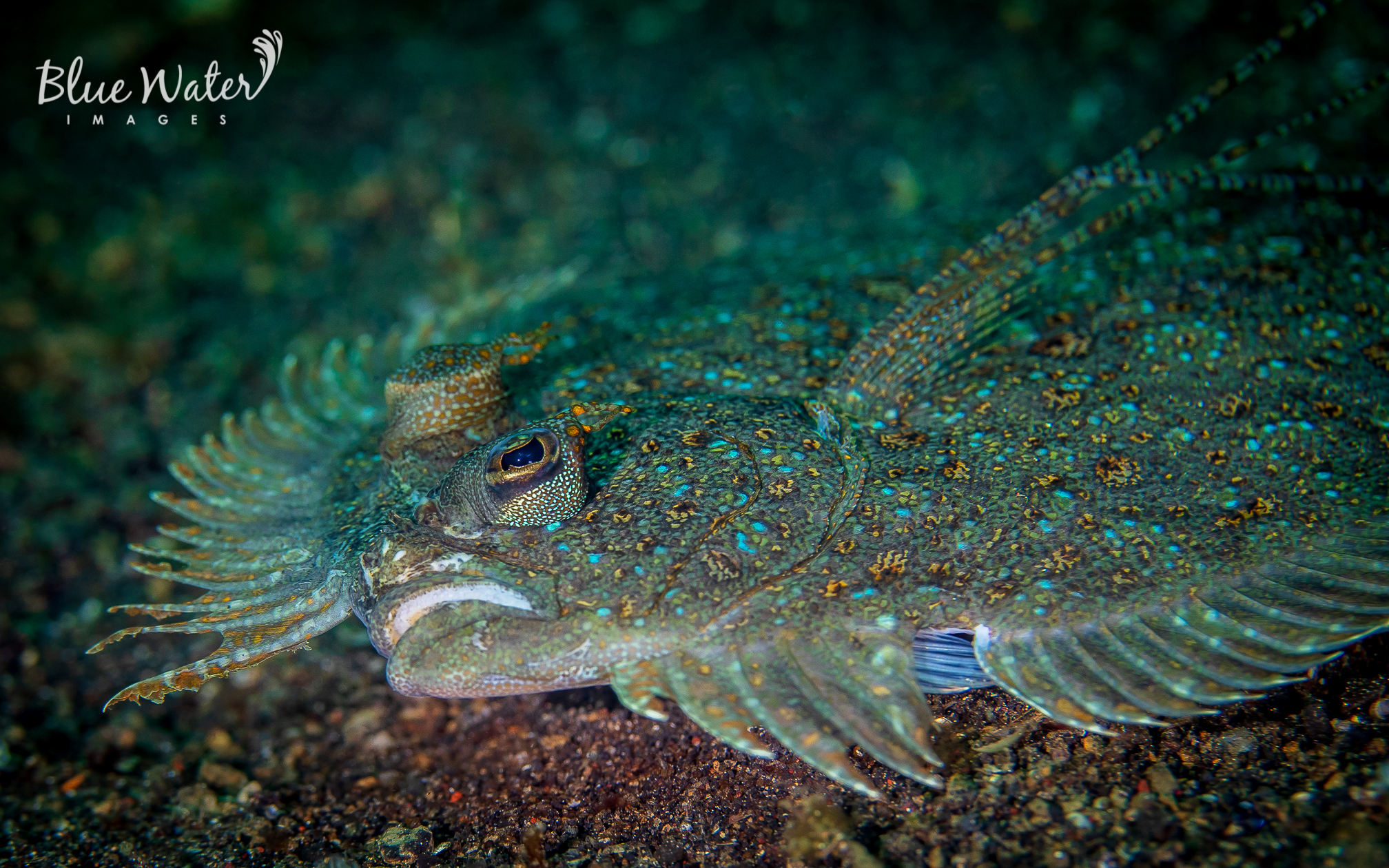 SQLskills SQL101: Why are Statistics so Important? – Kimberly L. Tripp